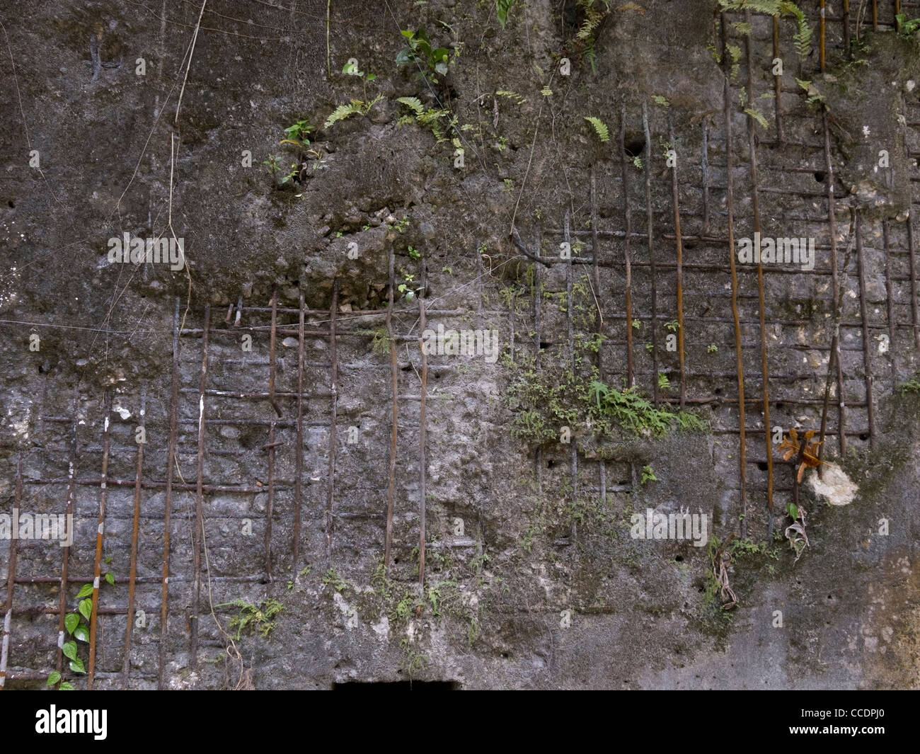 Museum wall, a derelict Japanese command center, on the island of ...
