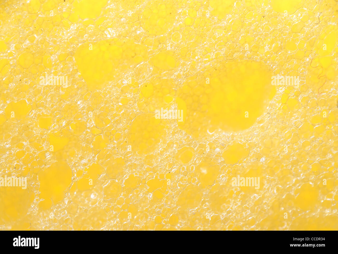 Seamless porous sponge texture hi-res stock photography and images - Alamy