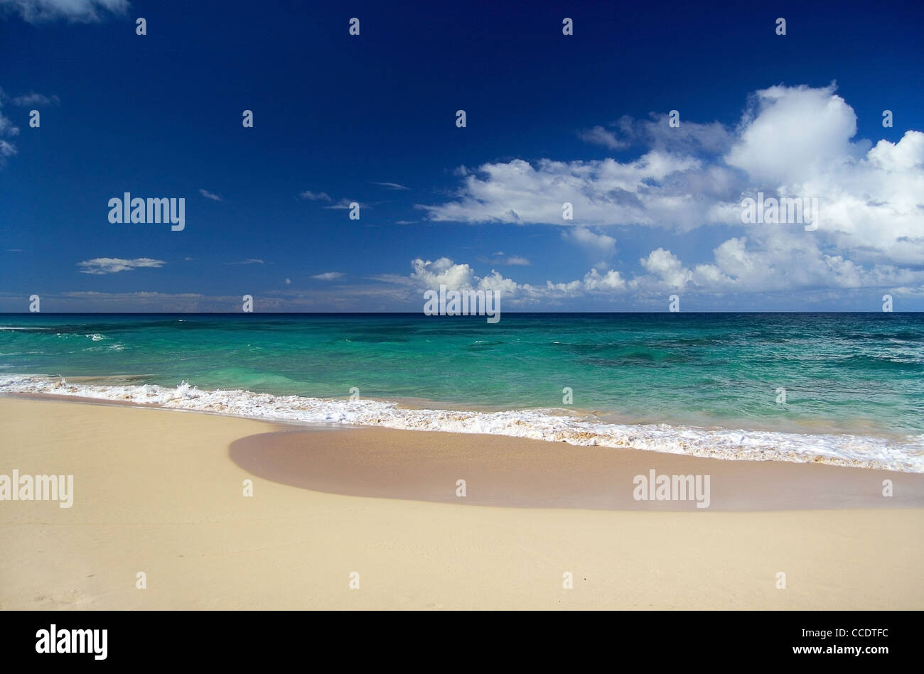 Tropical wild beach Stock Photo - Alamy
