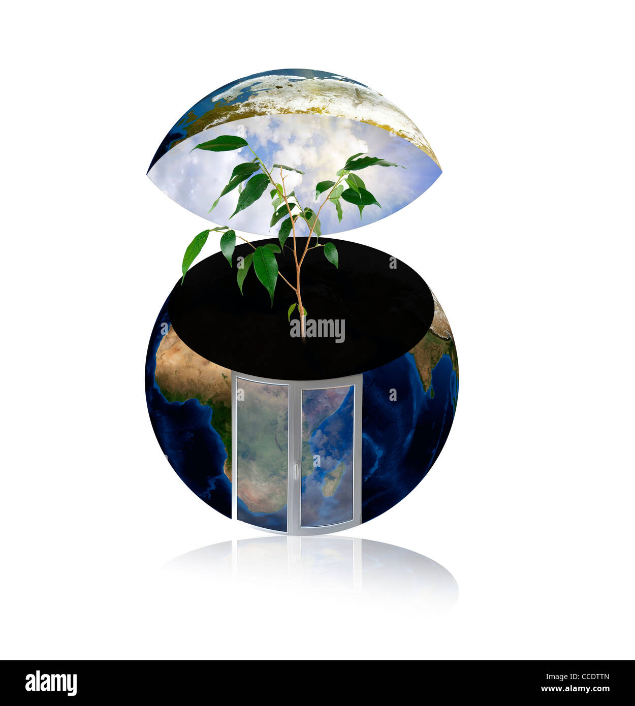 tree growing from the earth with window isolated on white background ...