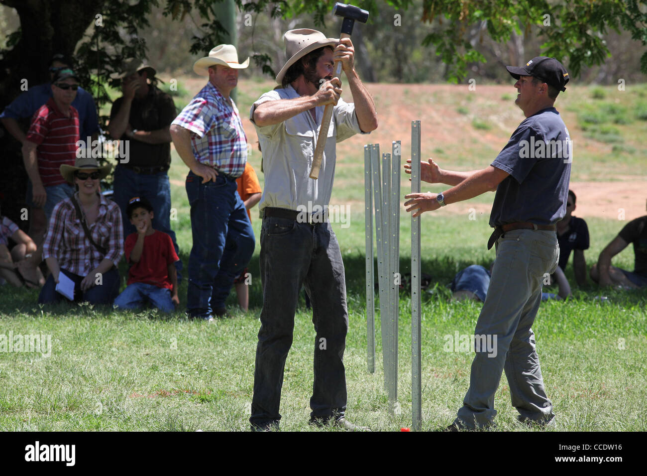 Australian fence post country competition man male hi-res stock ...