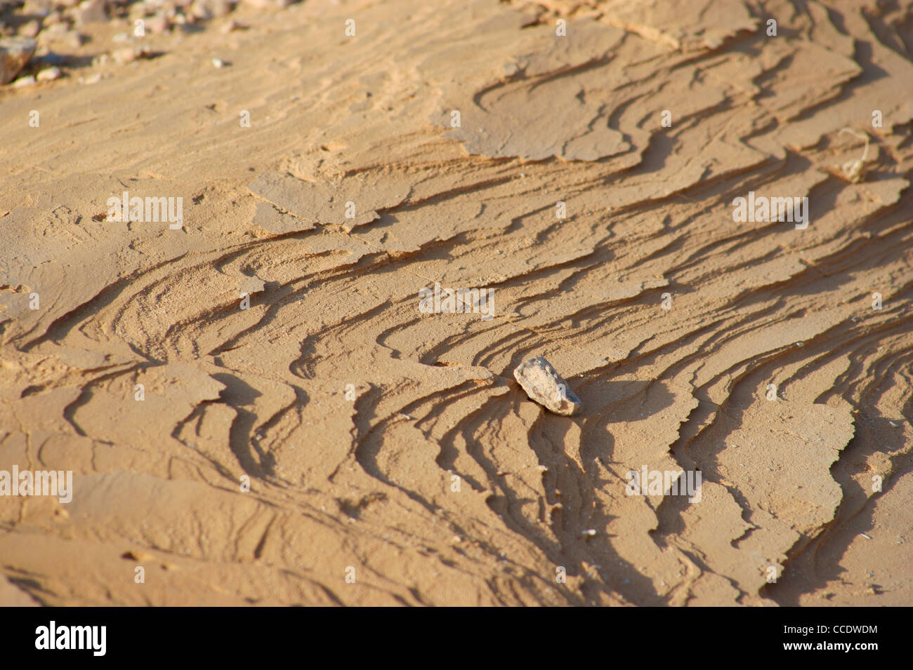 Structures of a soil. A surface of desert sand for background Stock ...