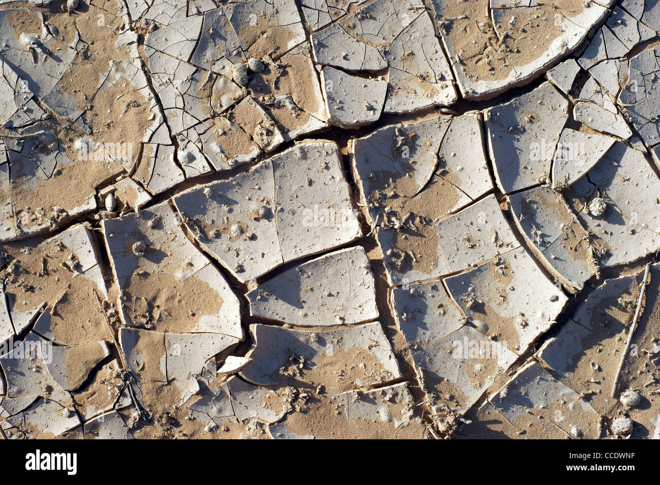 Drougtt land - desert Stock Photo - Alamy