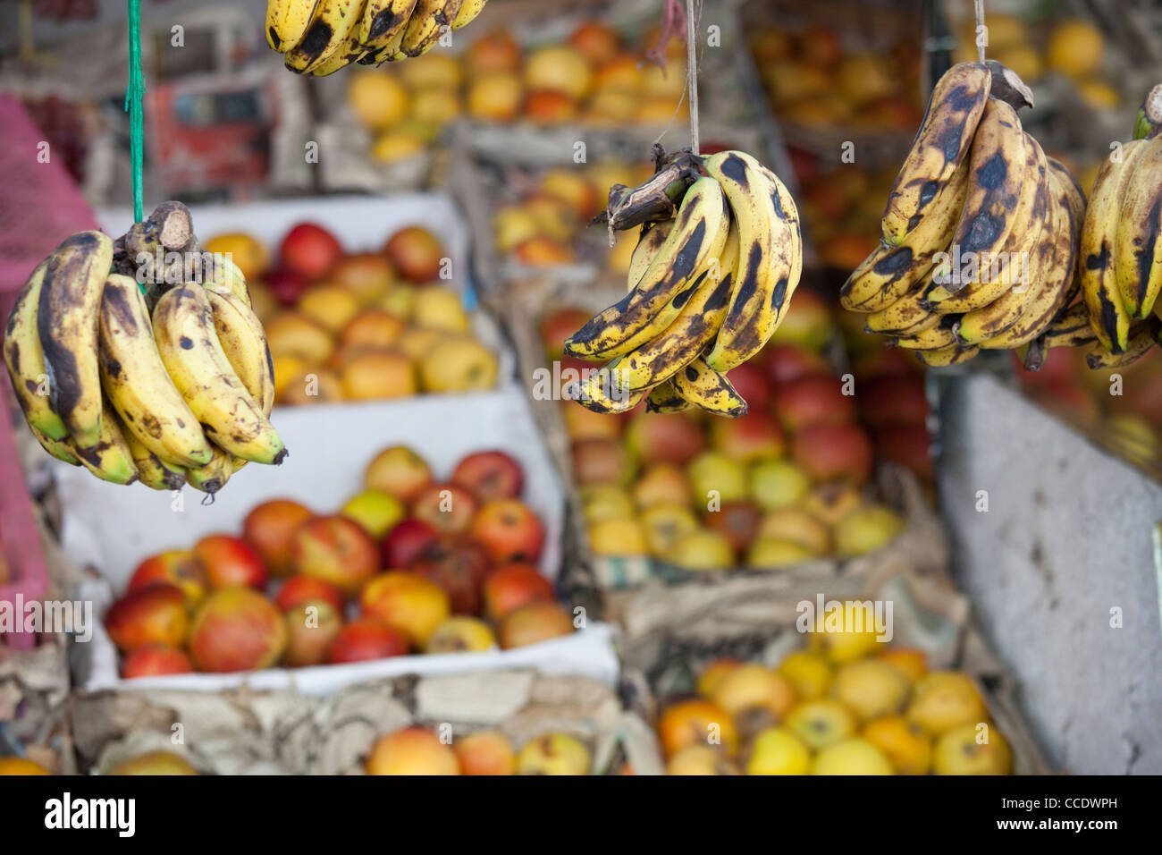 Fruit stand, Murree, Punjab Province, Pakistan Stock Photo - Alamy