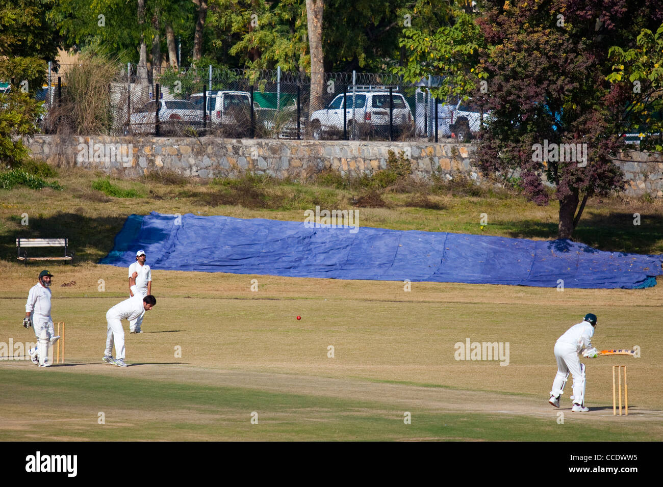 Pakistan cricket hi-res stock photography and images - Alamy