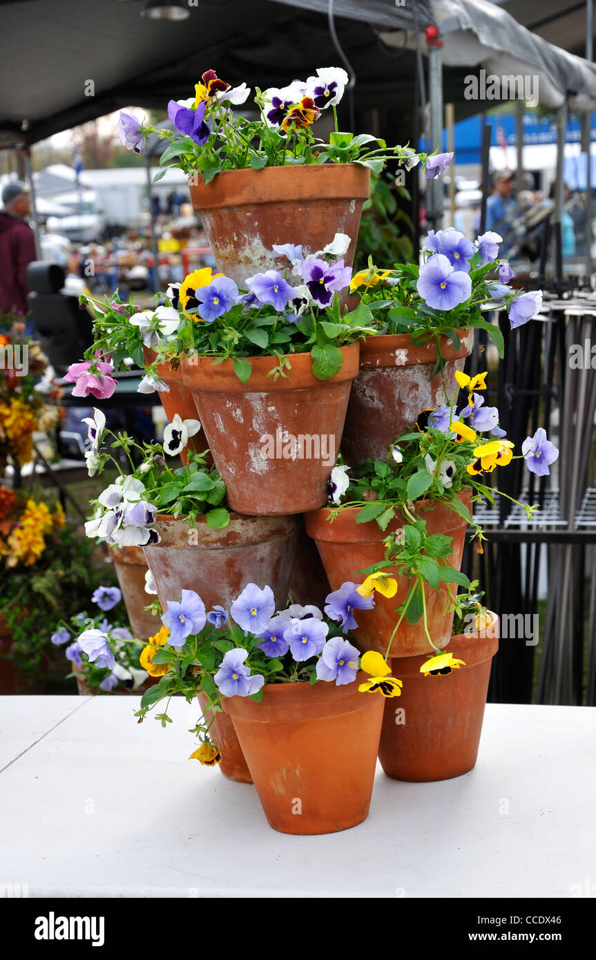 Flowers in stacked pots Stock Photo - Alamy