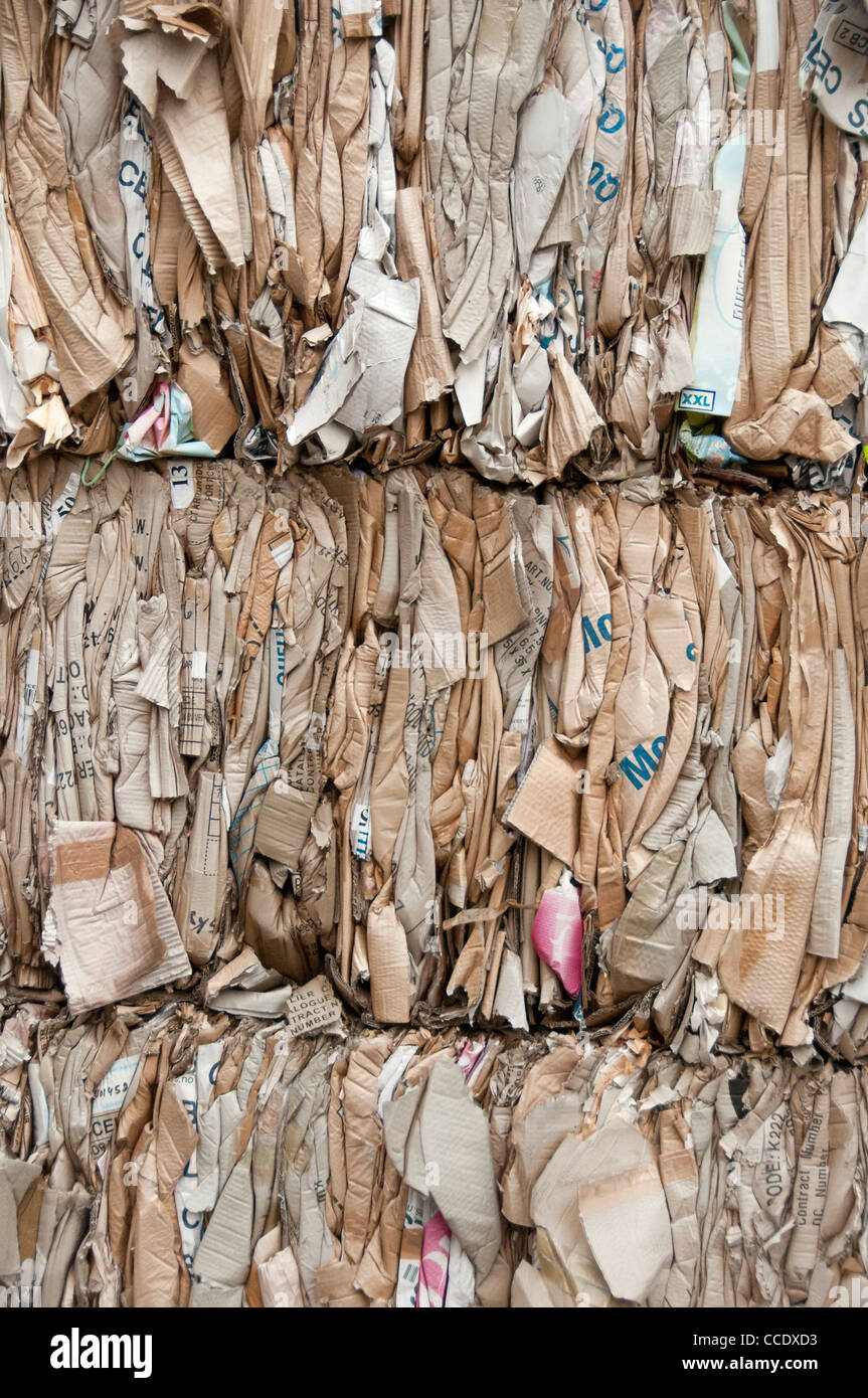bales of paper and cardboard for recycling Stock Photo - Alamy