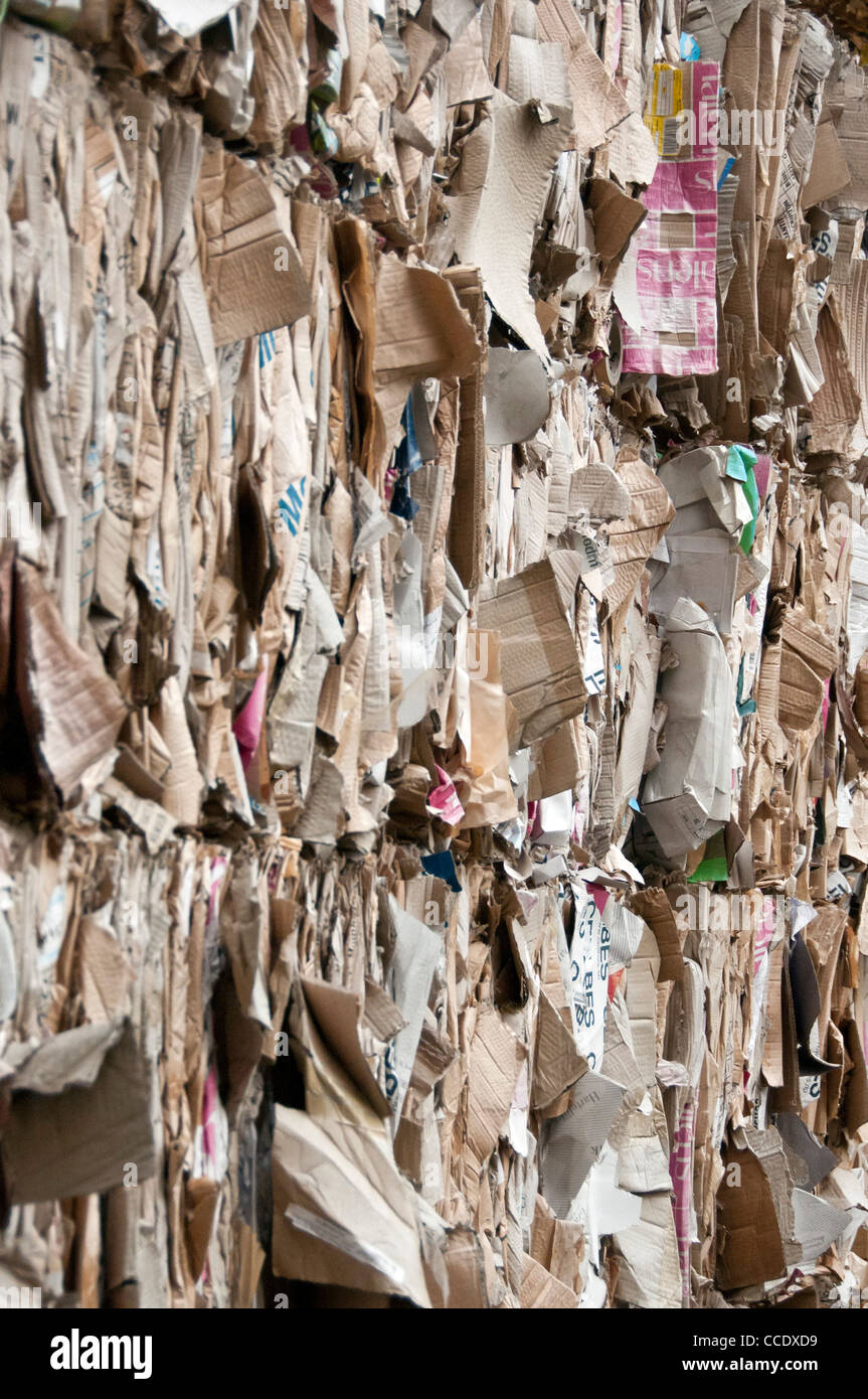bales of paper and cardboard for recycling Stock Photo - Alamy