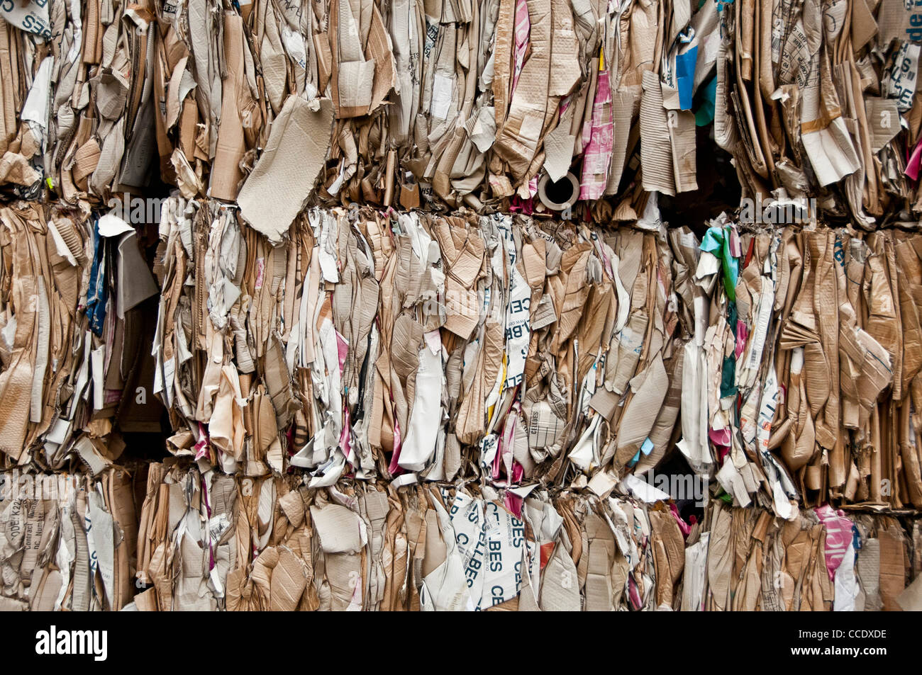 bales of paper and cardboard for recycling Stock Photo - Alamy
