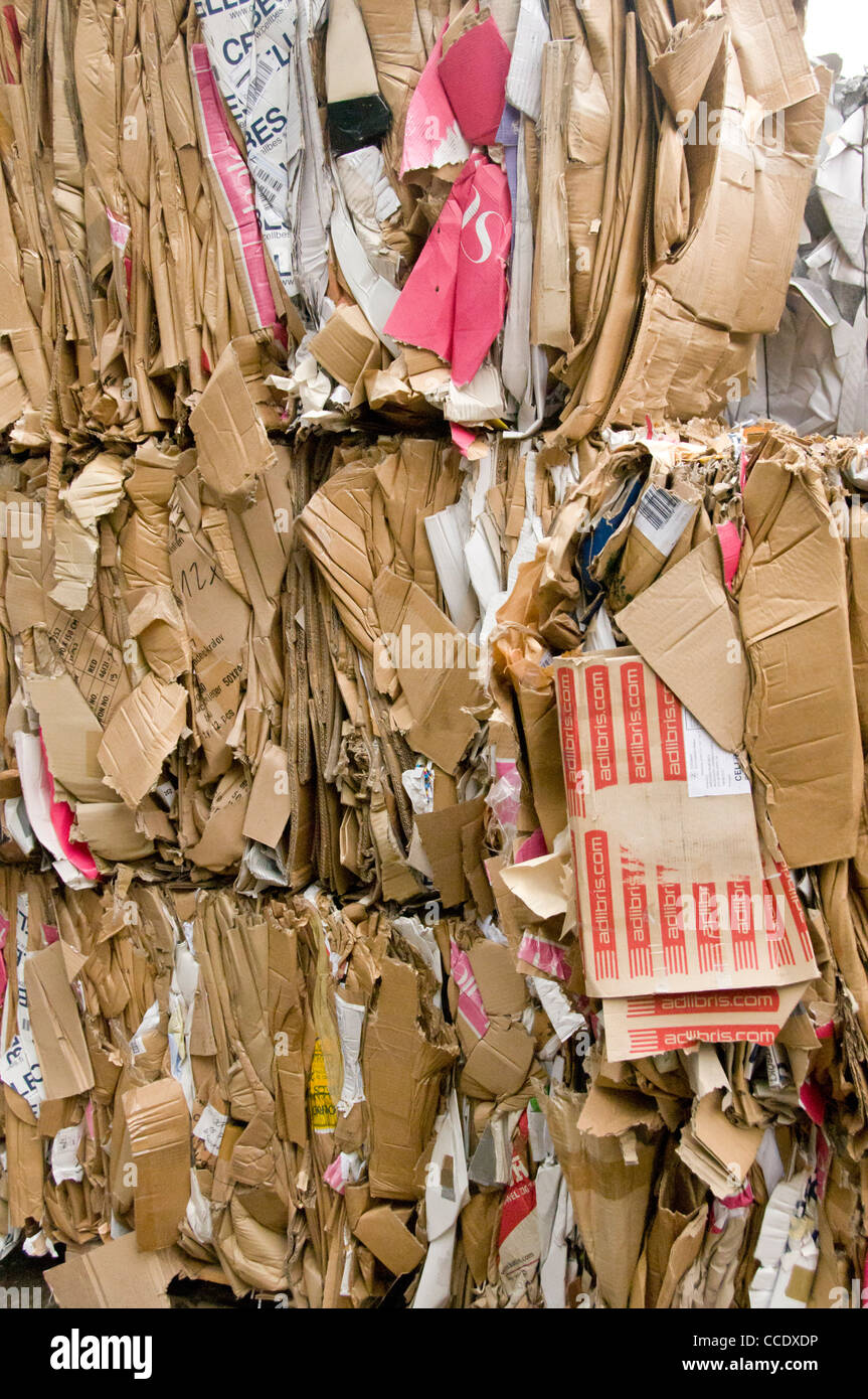 bales of paper and cardboard for recycling Stock Photo - Alamy