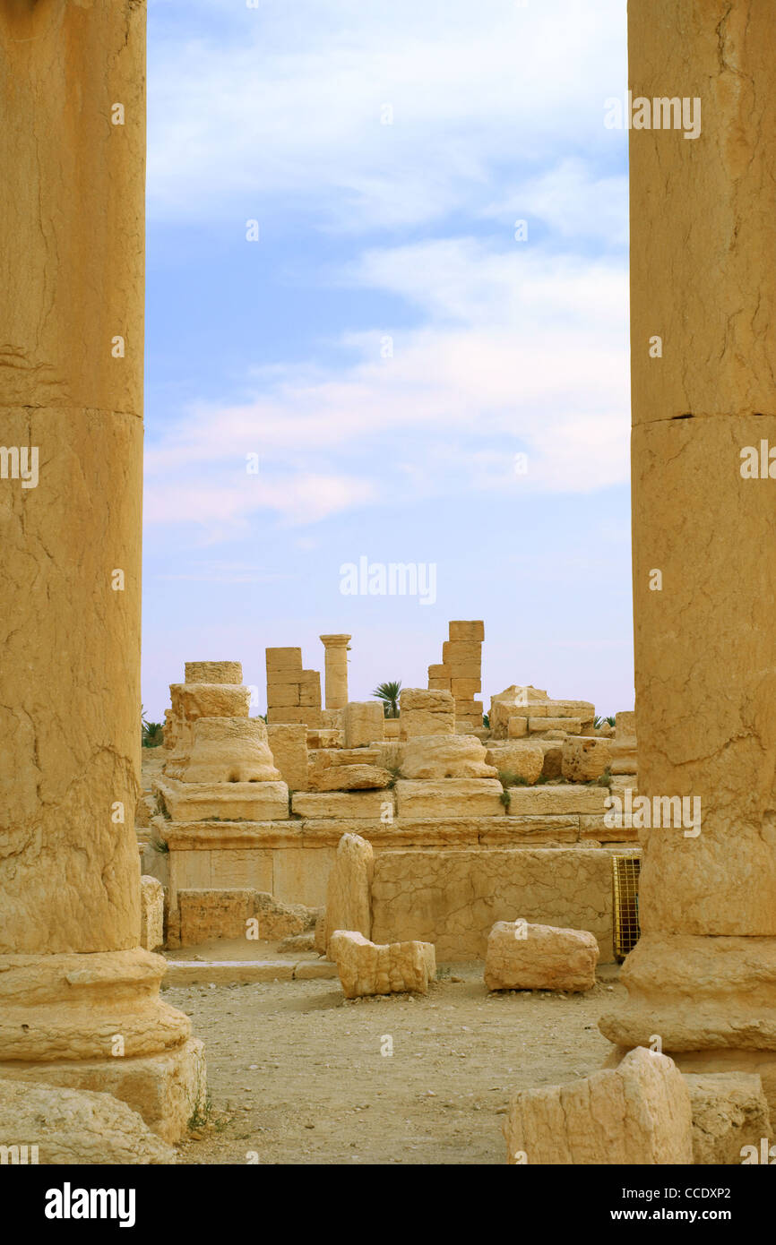 columns in ancient Palmyra, Syria Stock Photo - Alamy