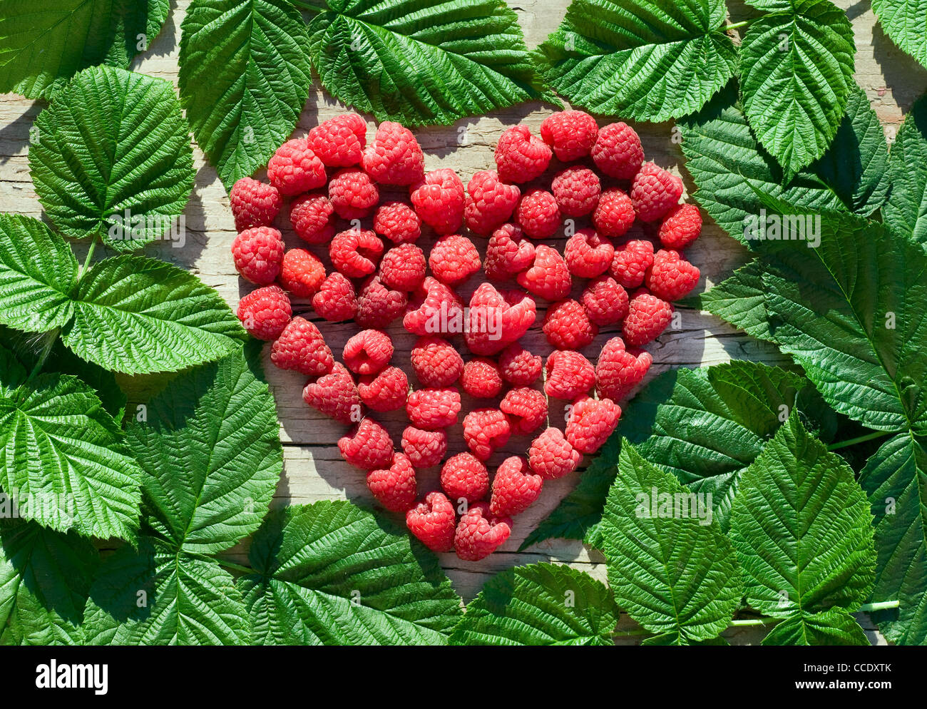 red Raspberry Heart on green leaves background Stock Photo - Alamy