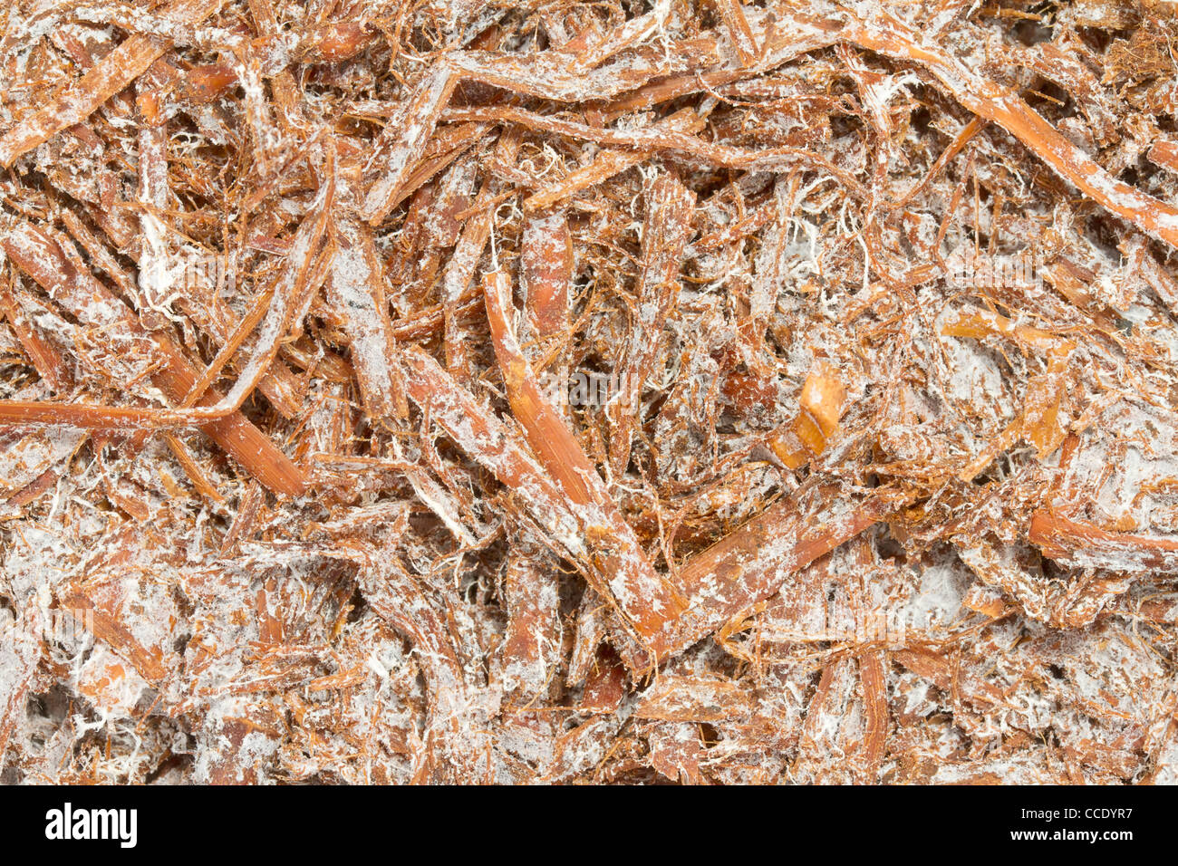 Close up image of mushroom compost Stock Photo - Alamy