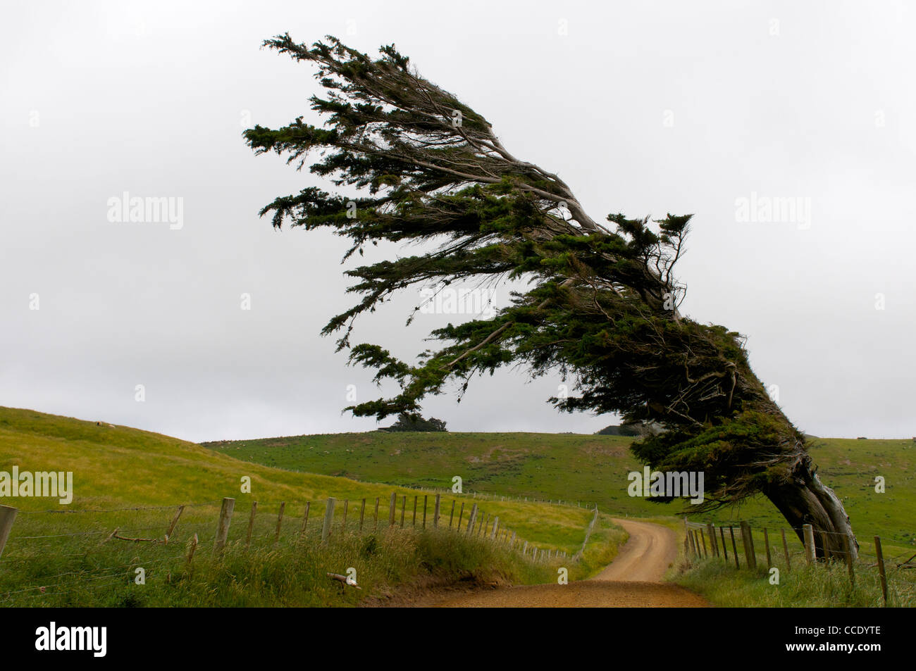Gale Force Wind Stock Photos & Gale Force Wind Stock Images - Alamy