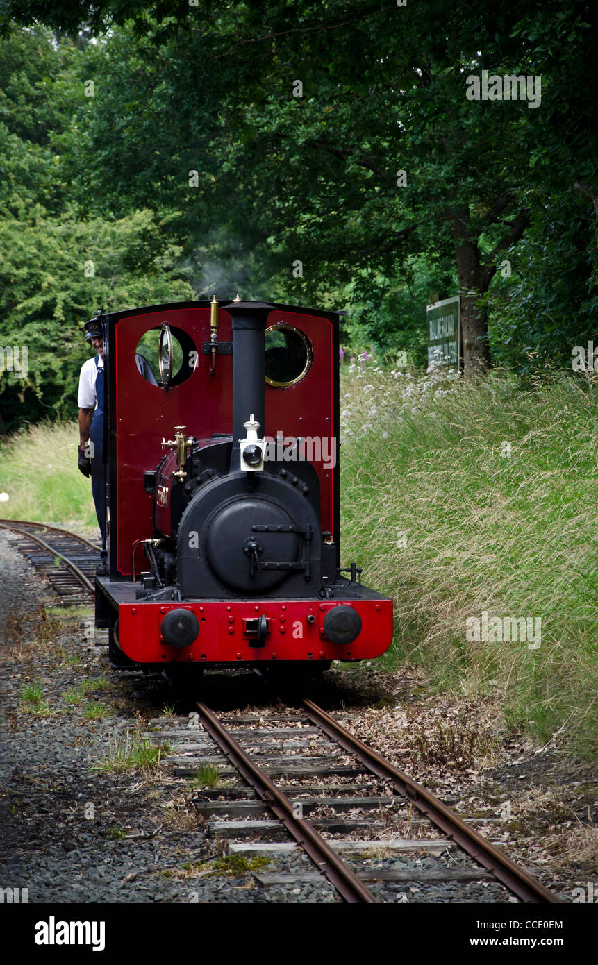 Small steam slate-mining locomotive "Maid Marian" on the Bala Lake ...