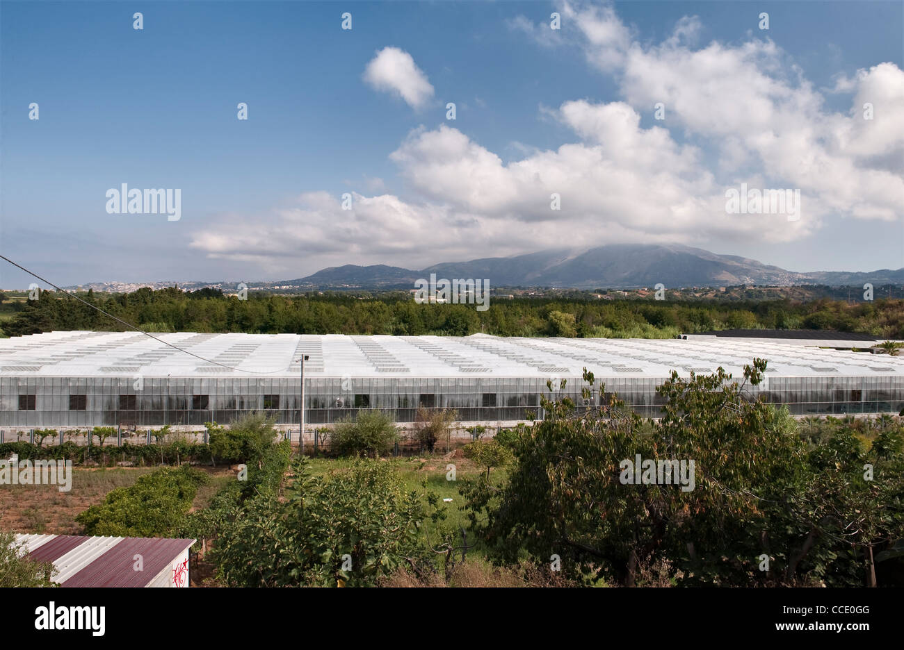 Southern greenhouse hi-res stock photography and images - Alamy