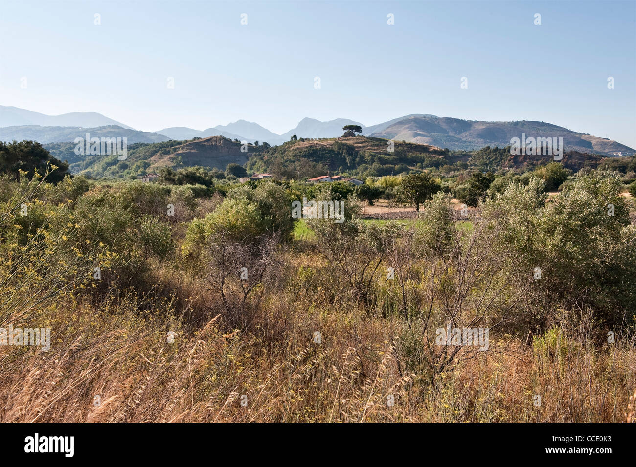 The countryside near Scalea, Calabria, southern Italy Stock Photo - Alamy