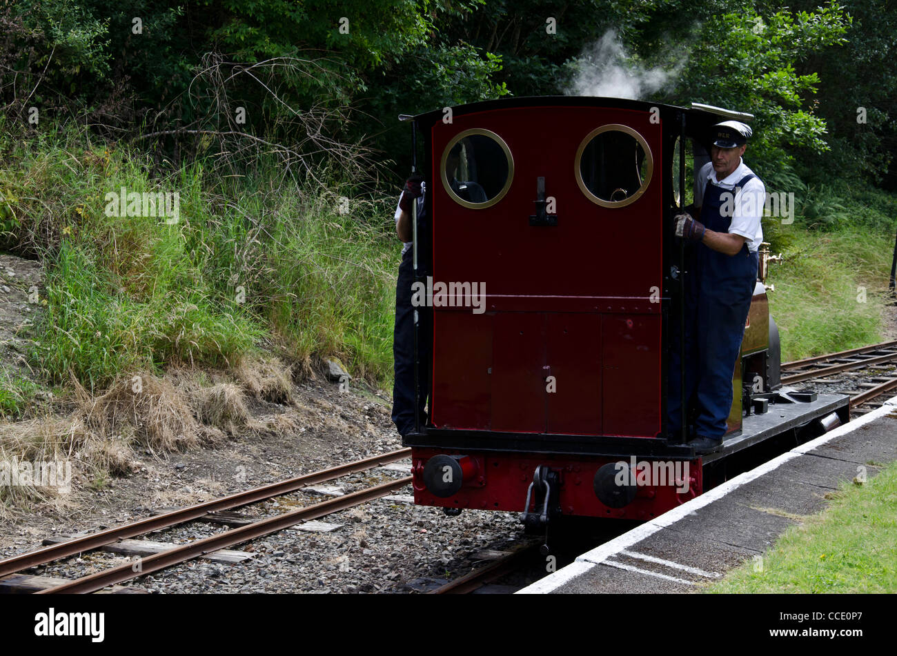 Small steam slate-mining locomotive "Maid Marian" reversing on the Bala ...