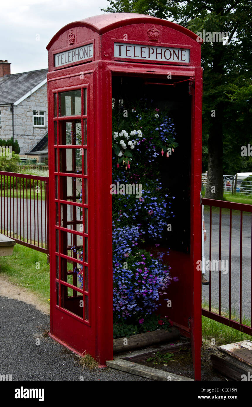 Telephone box full of flowers at Llanuwchllyn Station on the Bala Lake ...