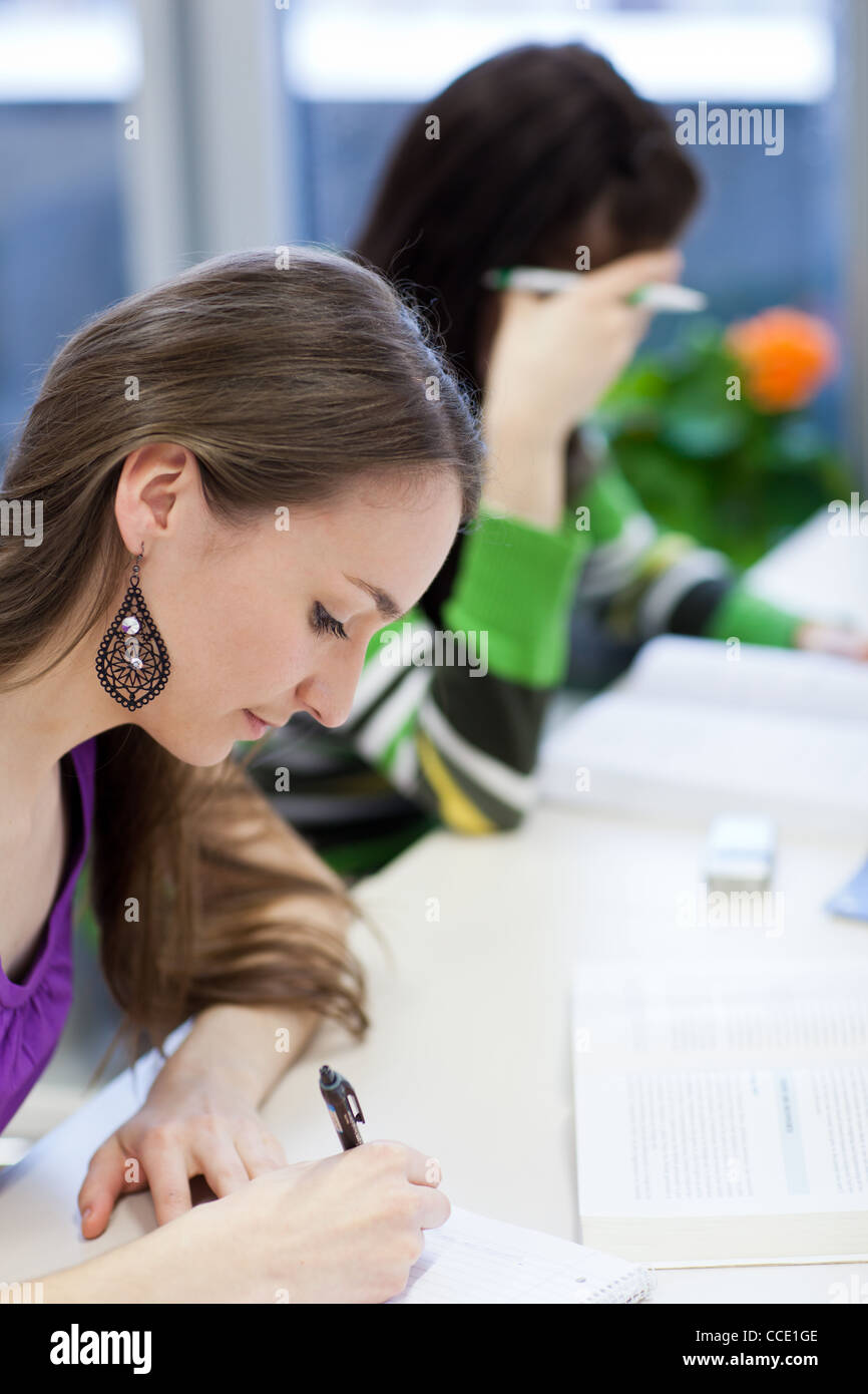 in the library - two female students with books working in a high ...
