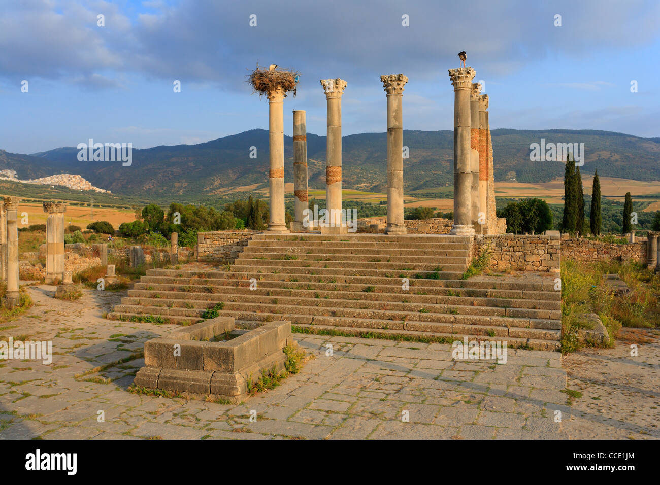 Morocco, Volubilis Archeological Site, Roman Ruins Stock Photo - Alamy
