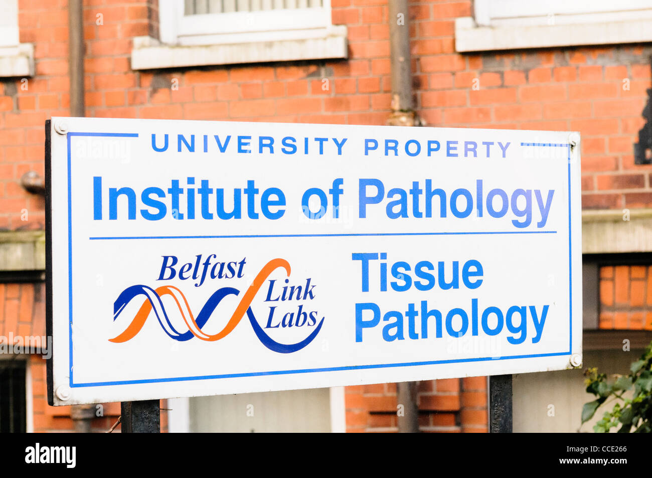 Sign for the Belfast Link Labs, medical and blood testing laboratories ...