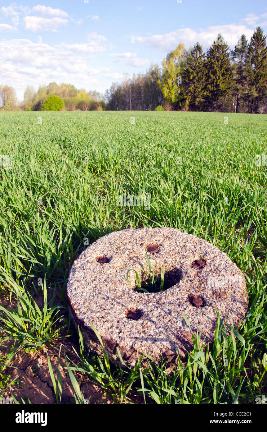 historical millstone in the spring crop field Stock Photo - Alamy