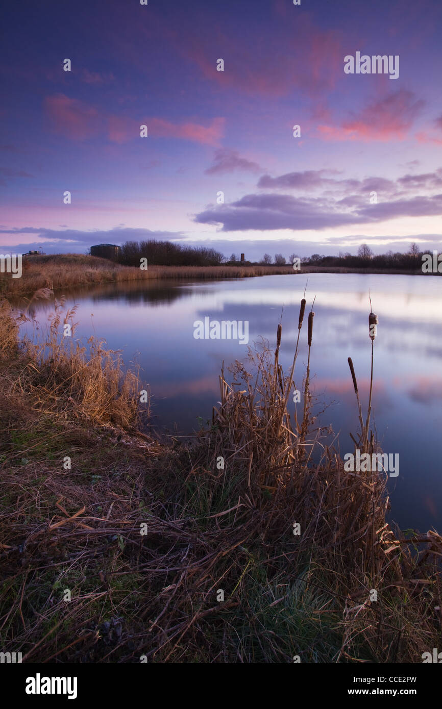 Morning side pond hi-res stock photography and images - Alamy