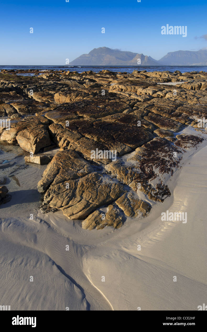 Eroded rocks on the beach - portrait - near Cape Town Stock Photo - Alamy