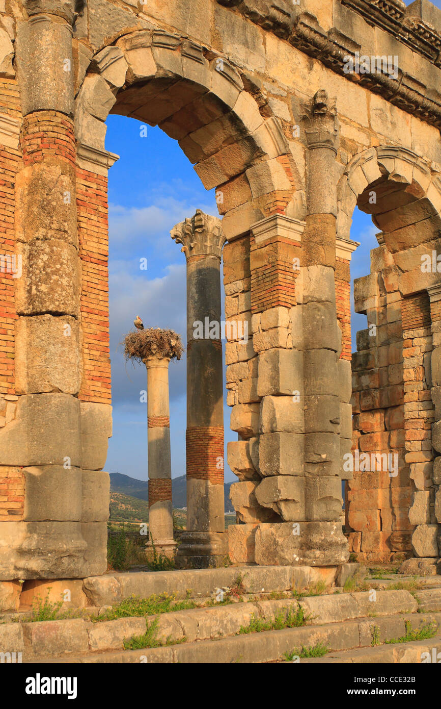 Morocco, Volubilis Archeological Site, Roman Ruins Stock Photo - Alamy