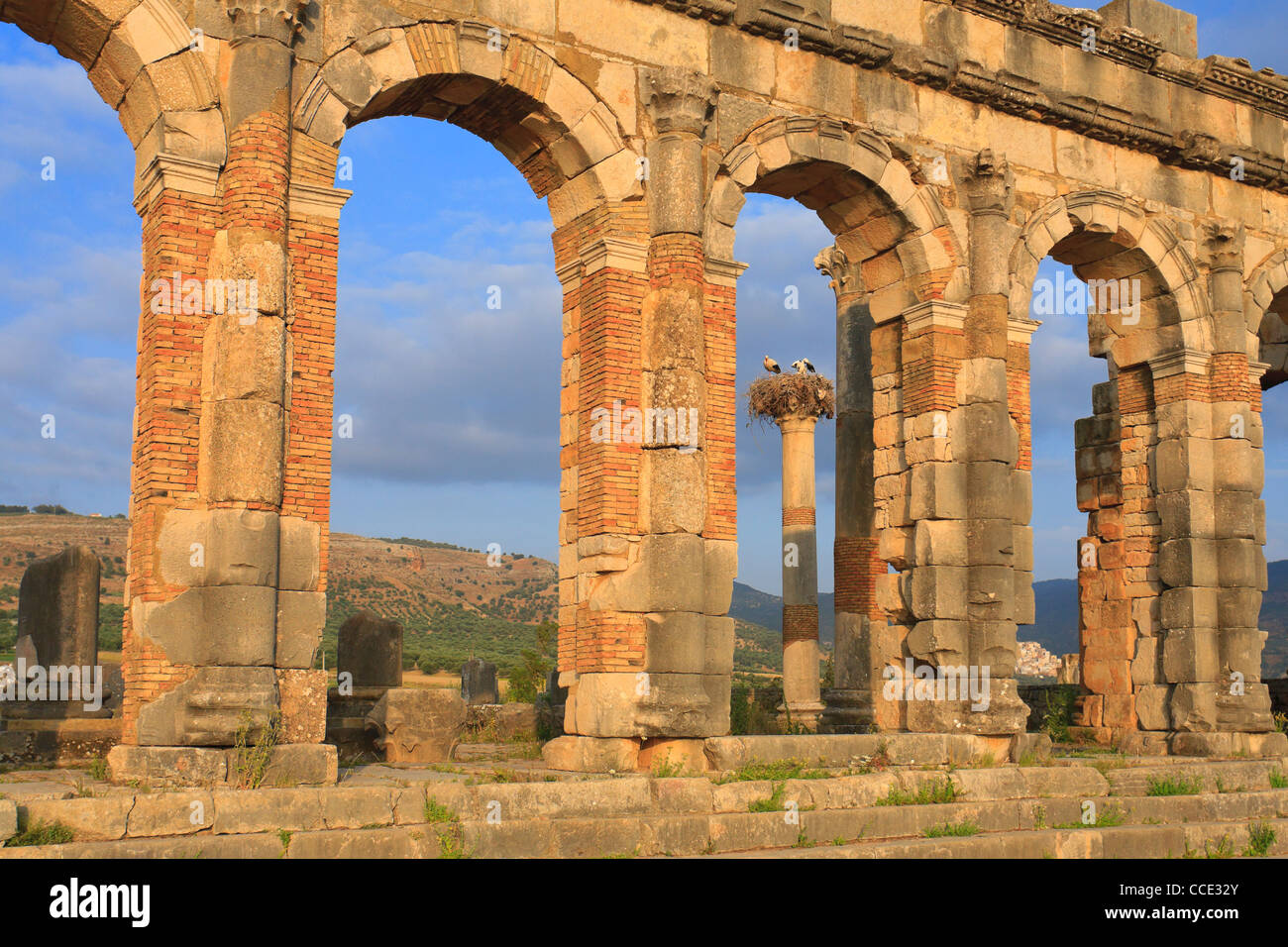 Morocco, Volubilis Archeological Site, Roman Ruins Stock Photo - Alamy