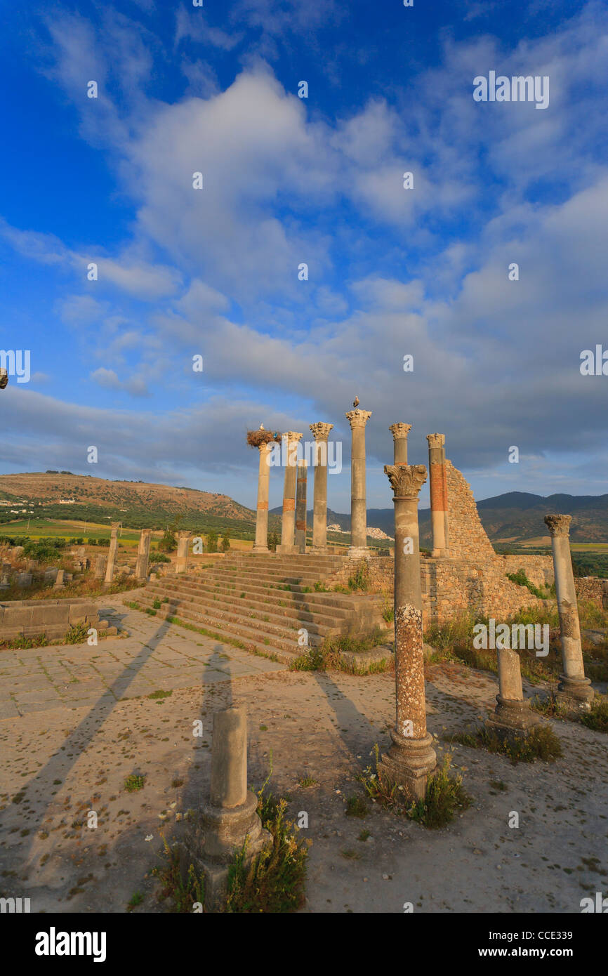 Morocco, Volubilis Archeological Site, Roman Ruins Stock Photo - Alamy