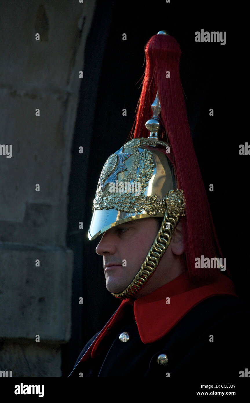 Ceremony ceremonial exhibition display pomp heraldry guardsman hi-res ...