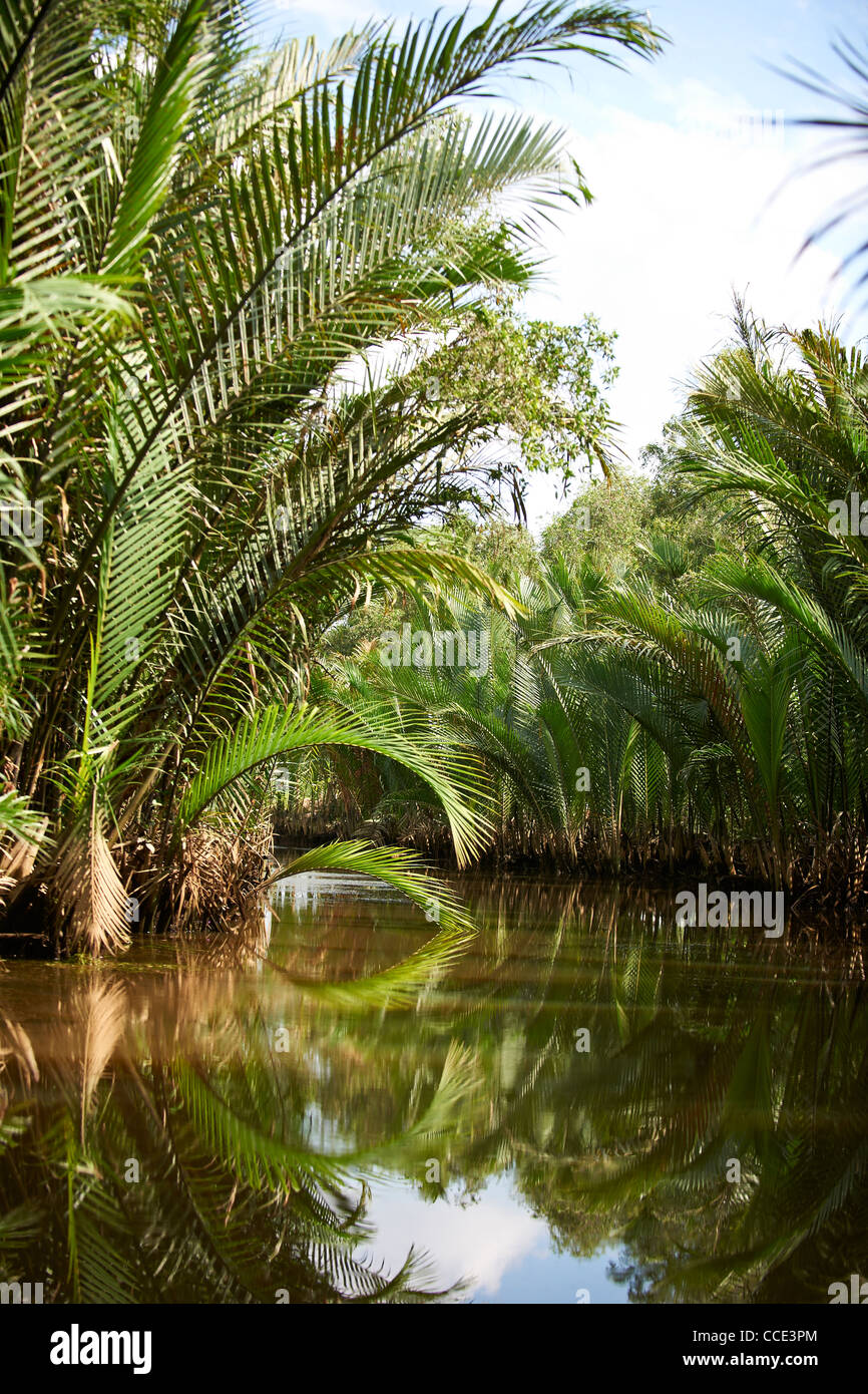 Mekong Delta river scene in Vietnam Stock Photo - Alamy