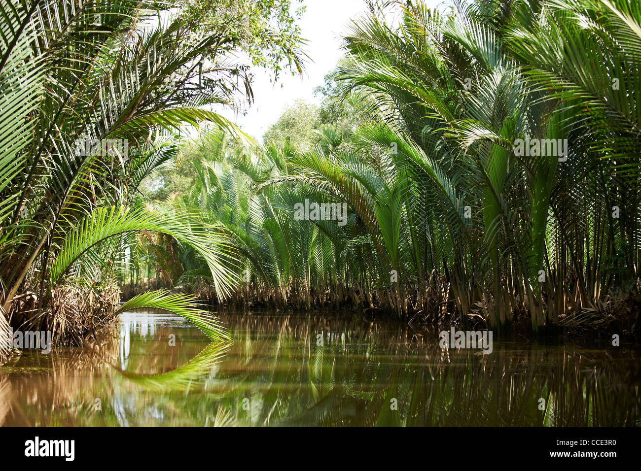 Mekong Delta river scene in Vietnam Stock Photo - Alamy