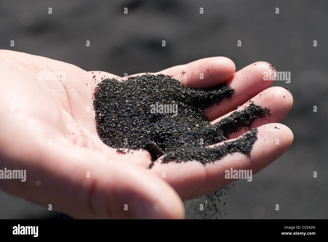 basalt black sand in Vik in Iceland Stock Photo - Alamy