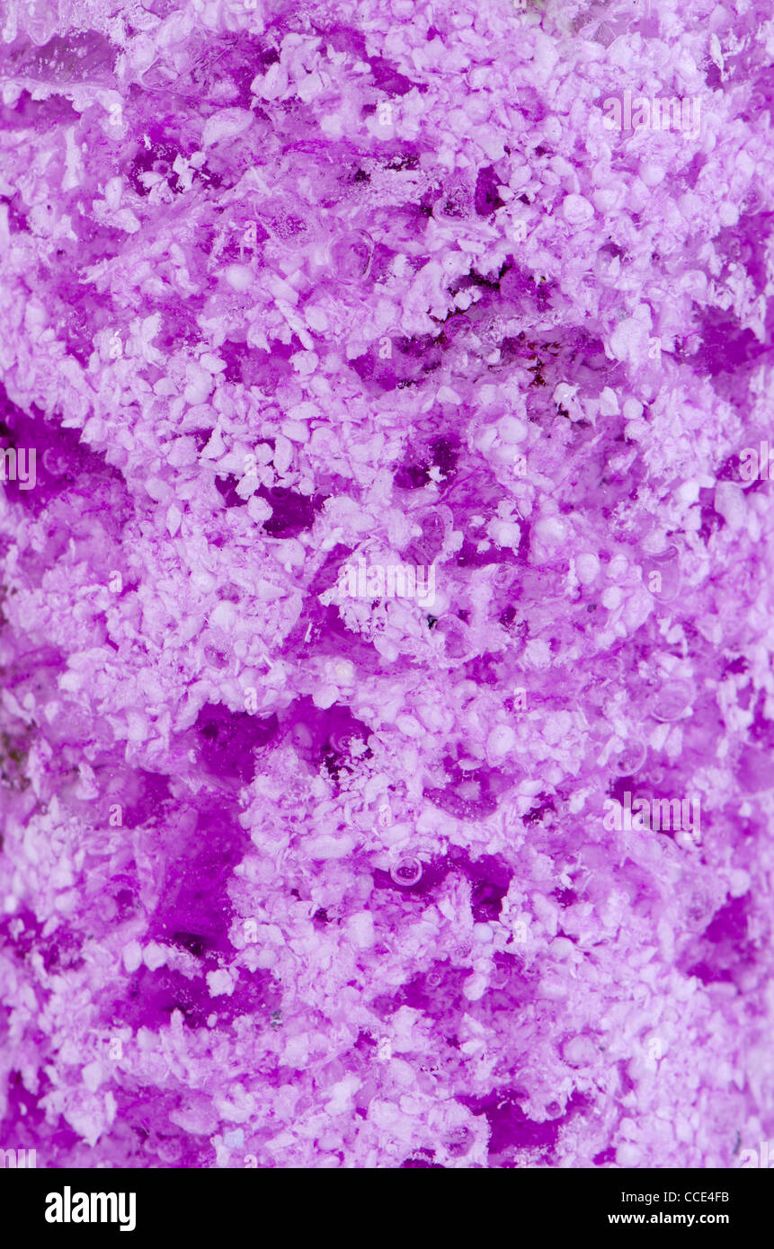 Flower Gel Floral Colour Water Beads Stock Photo - Alamy