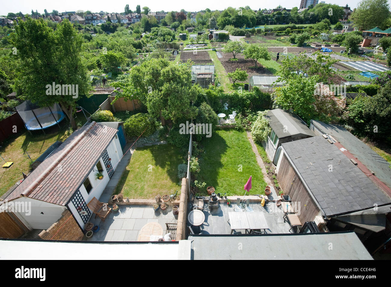 General view of gardens and allotments in London see from roof of a ...