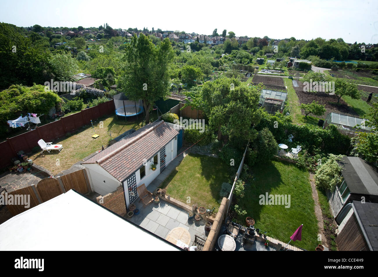 General view of gardens and allotments in London see from roof of a ...