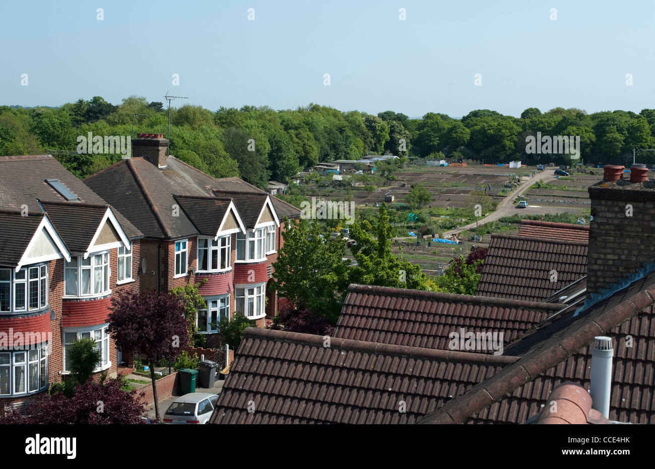 General view of gardens and allotments in London see from roof of a ...