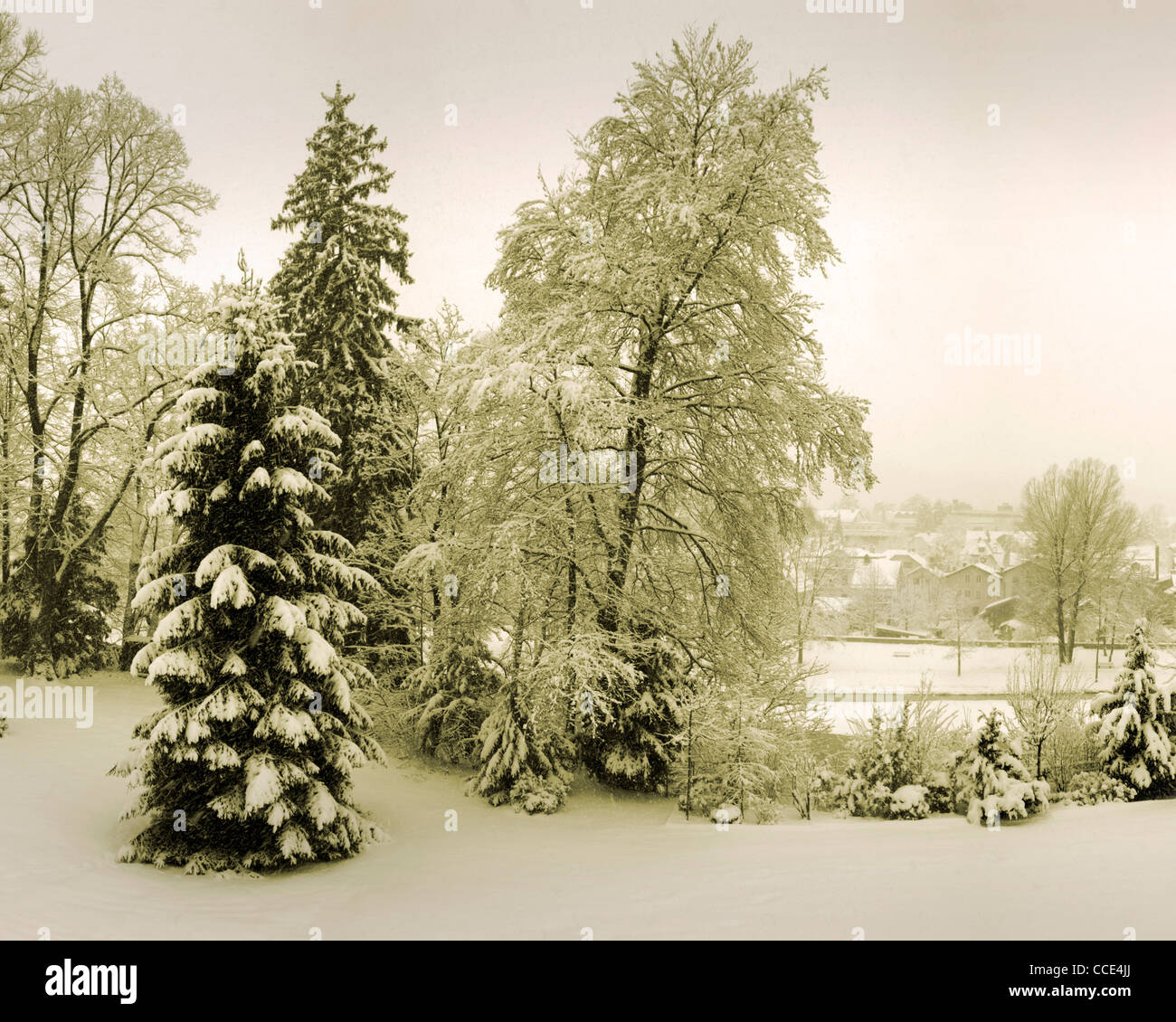DE - BAVARIA: Winter along River Isar at Bad Toelz Stock Photo - Alamy