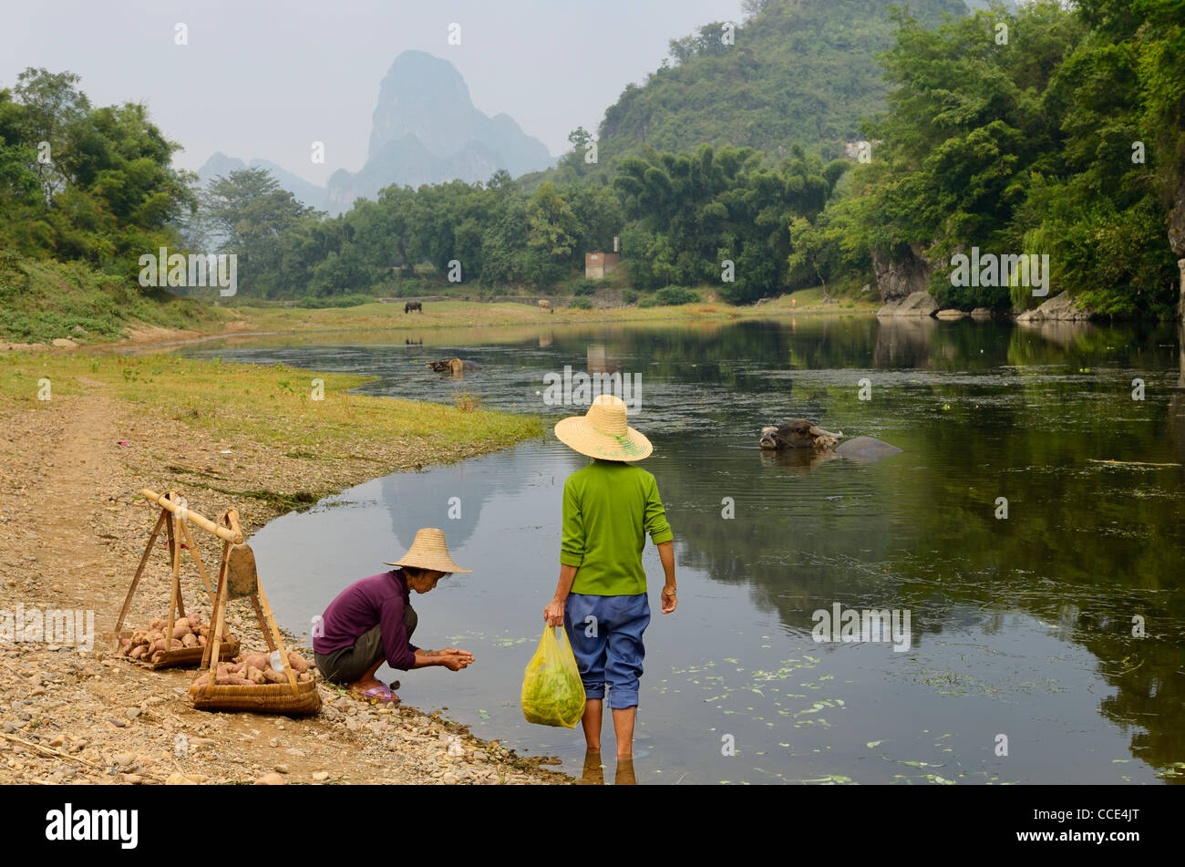 Chinese women washing vegetables in pond water at Fuli Li river inlet ...