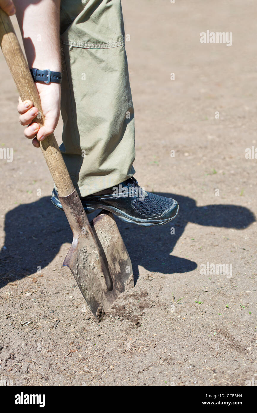 Young man digging garden ground Stock Photo - Alamy