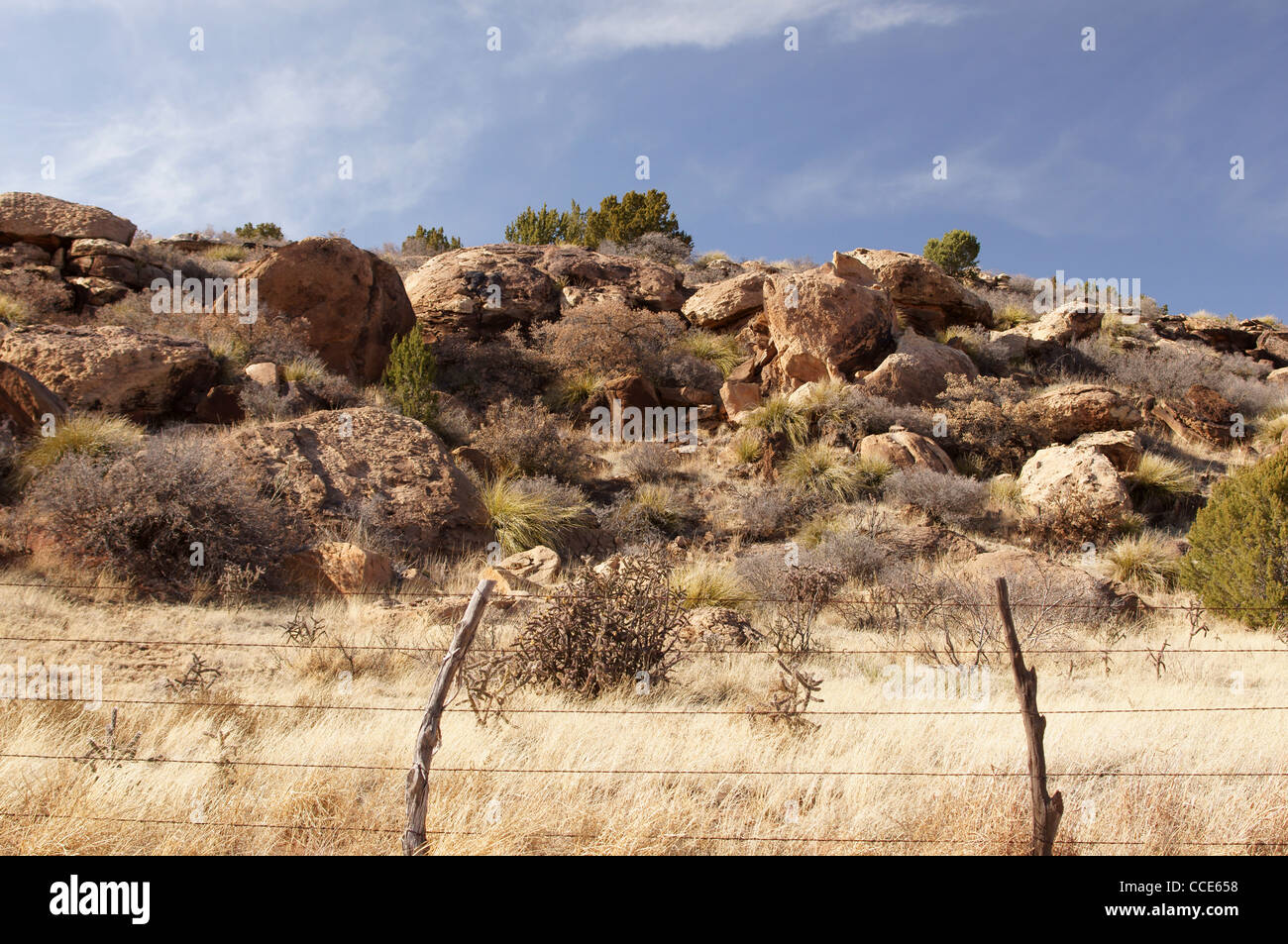 Pintada High Resolution Stock Photography and Images - Alamy