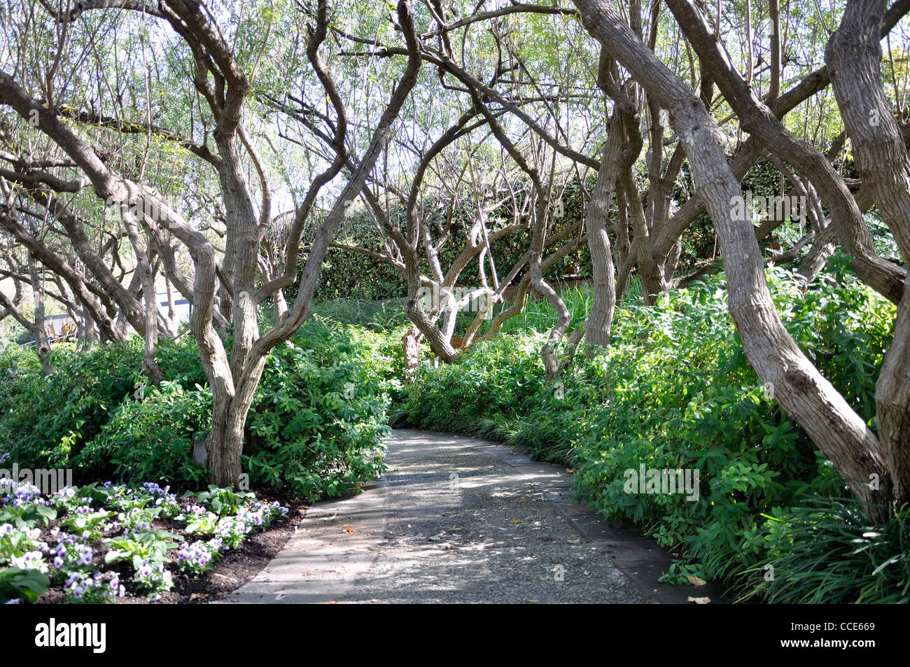 Dallas Arboretum, Texas, USA Stock Photo - Alamy