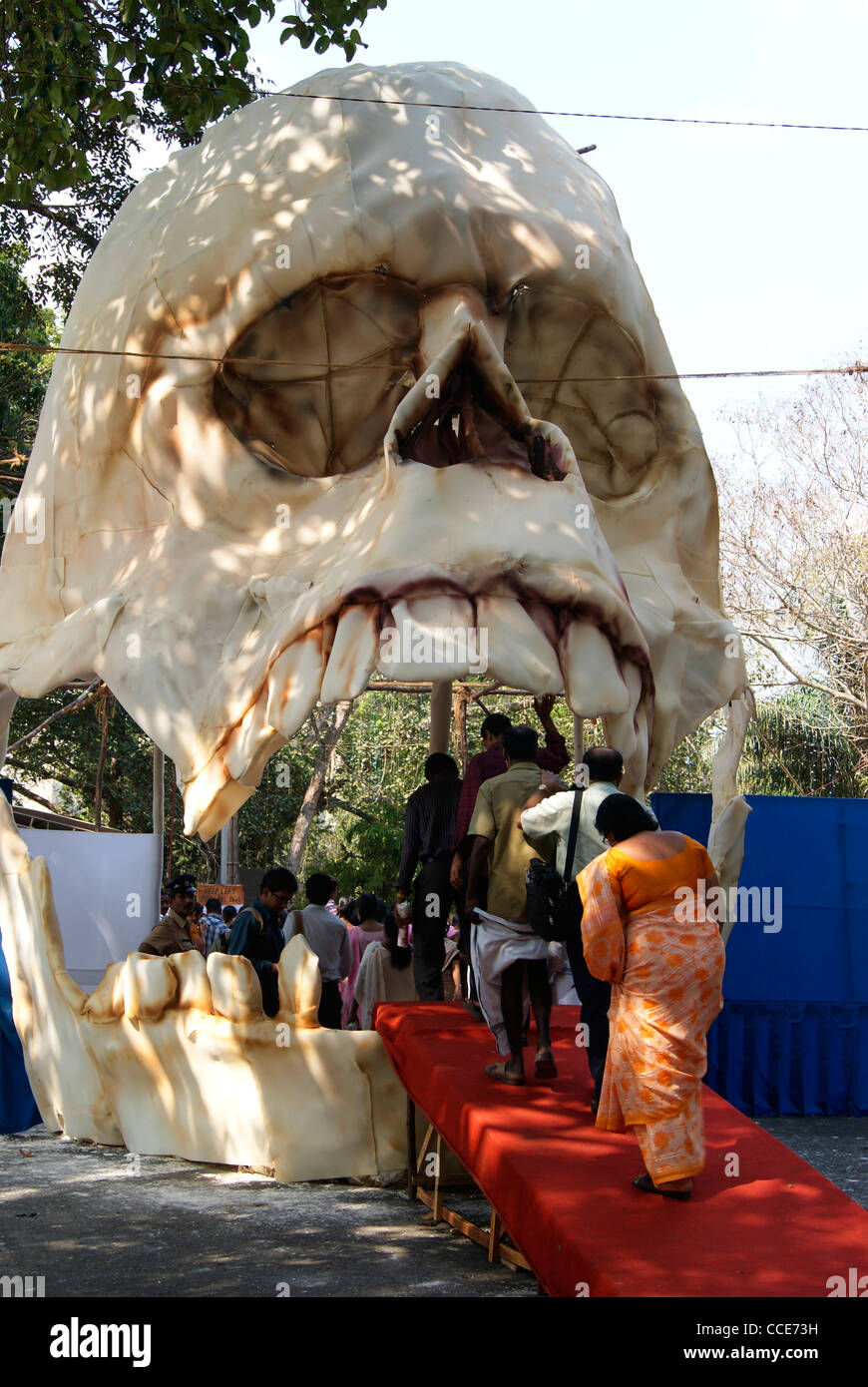 Heads in the trough hi-res stock photography and images - Alamy