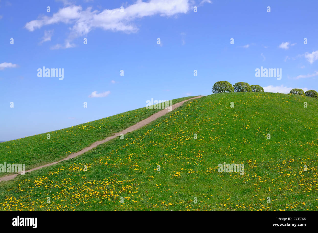 Beautiful summer landscape - disappearing into the distance footpath ...