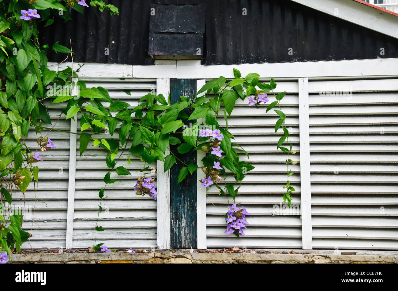 Louvered window hi-res stock photography and images - Alamy