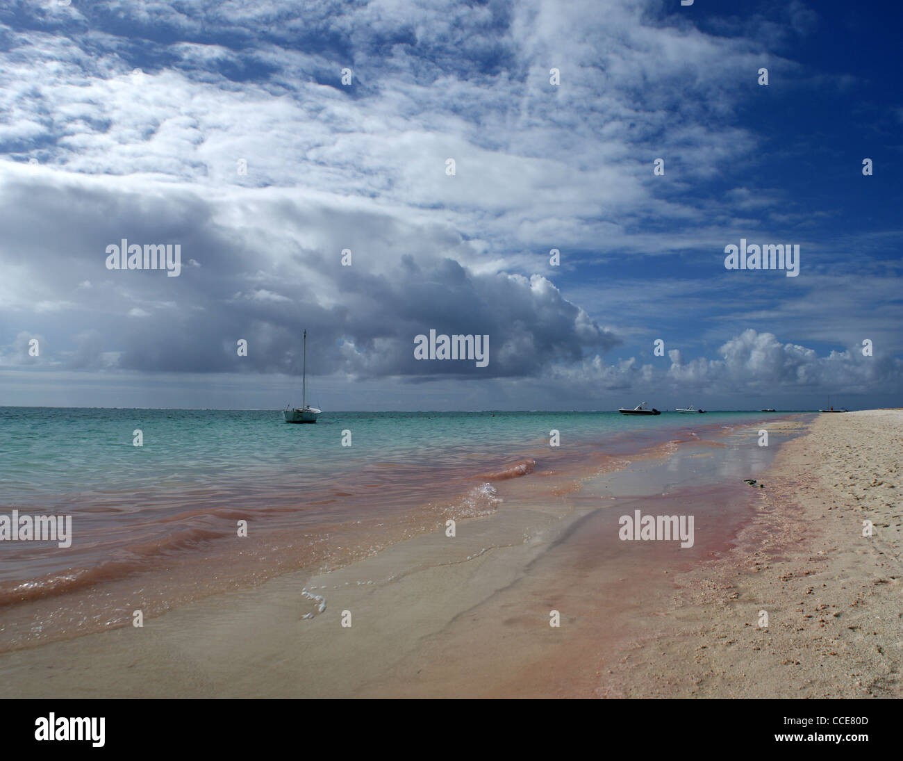 Red fish spawn on Mauritius beach Stock Photo - Alamy