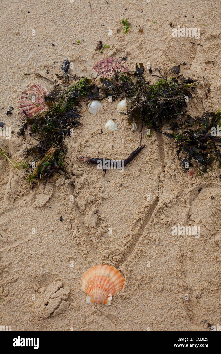 Game of shells hi-res stock photography and images - Alamy